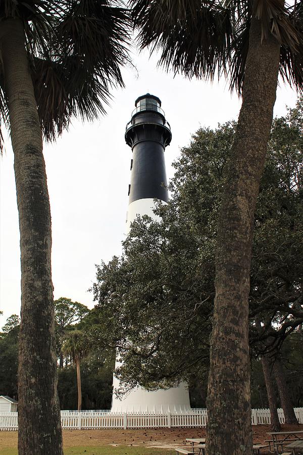 Lighthouse Through The Trees 2 Photograph by Carol McGrath - Fine Art ...