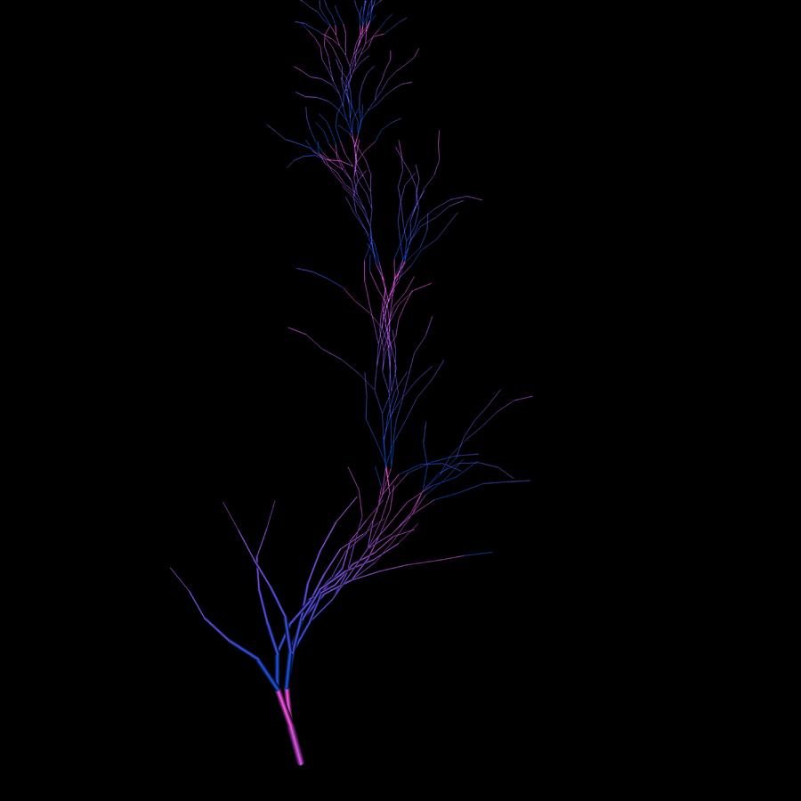 Lightning tree pattern. 10 Digital Art by Master Forester - Fine Art ...