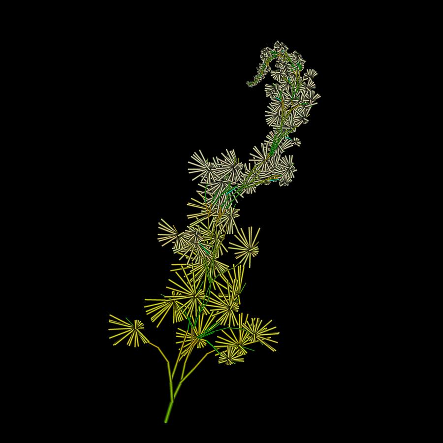 Lightning tree pattern. 115 Digital Art by Master Forester - Fine Art ...