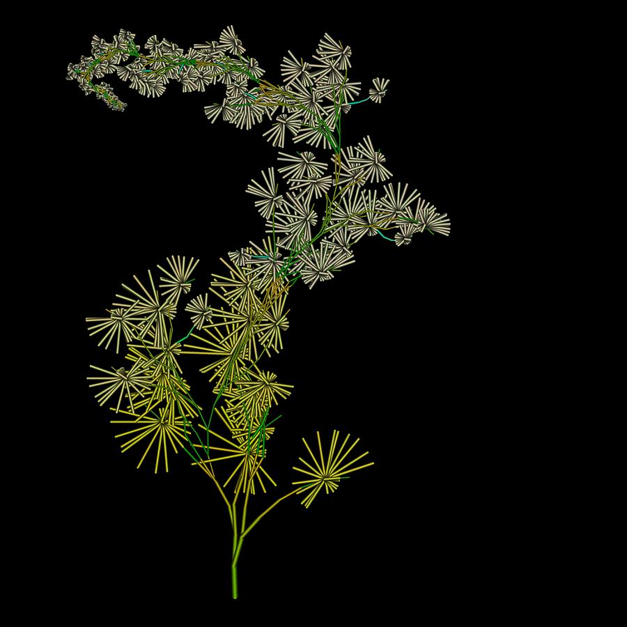 Lightning tree pattern. 118 Digital Art by Master Forester - Fine Art ...