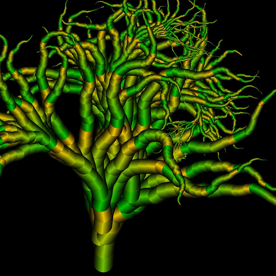 Lightning tree pattern. 12 Digital Art by Master Forester - Fine Art ...