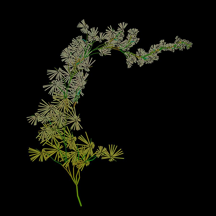 Lightning tree pattern. 121 Digital Art by Master Forester - Fine Art ...