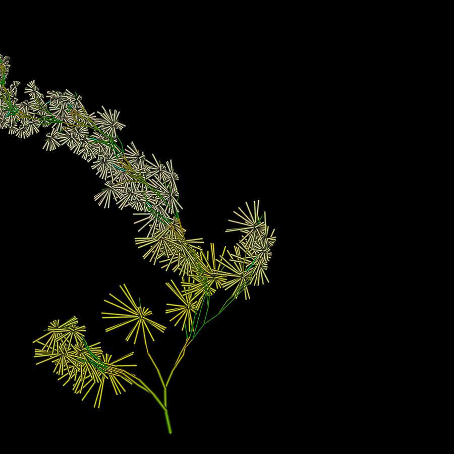 Lightning tree pattern. 122 Digital Art by Master Forester - Fine Art ...