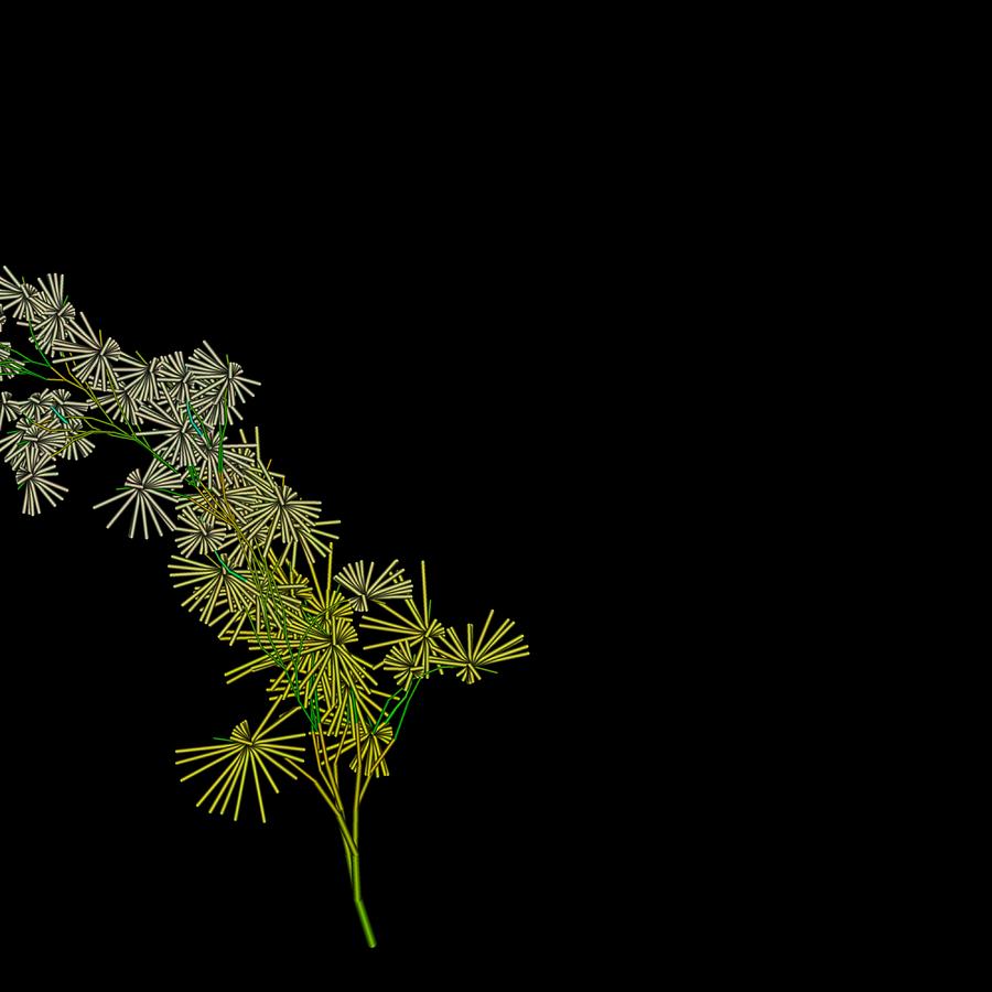 Lightning tree pattern. 123 Digital Art by Master Forester - Fine Art ...