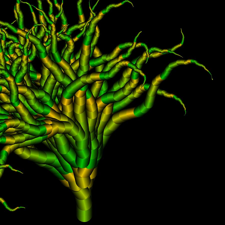 Lightning tree pattern. 18 Digital Art by Master Forester - Fine Art ...