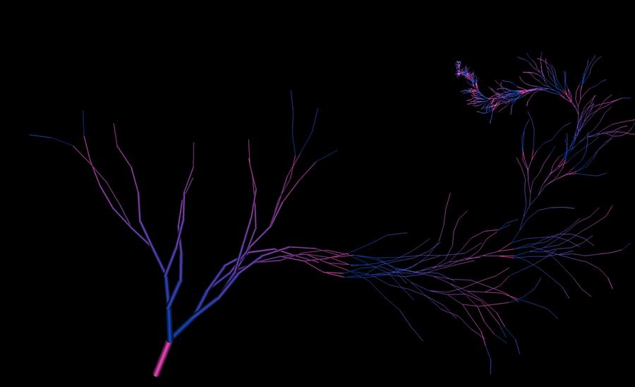 Lightning tree pattern. 19 Digital Art by Master Forester - Fine Art ...