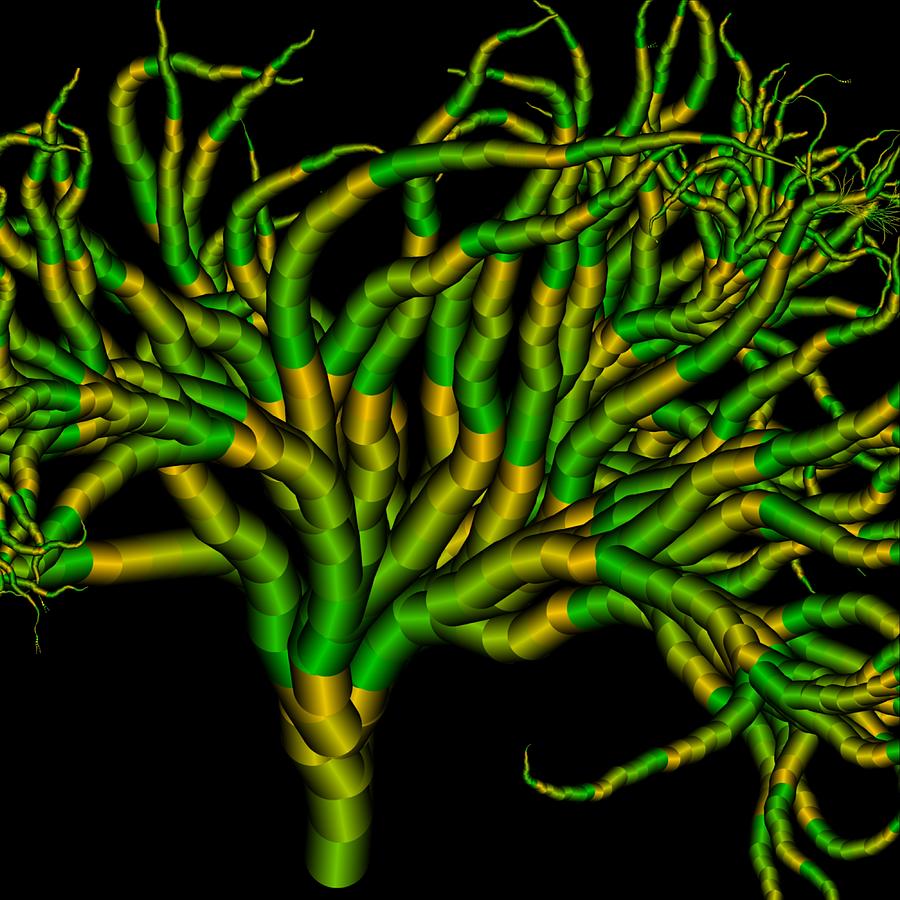 Lightning tree pattern. 27 Digital Art by Master Forester - Fine Art ...