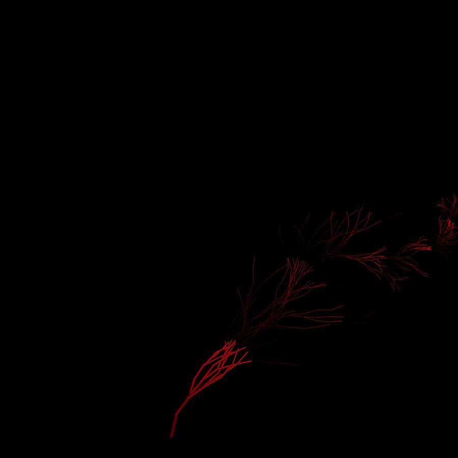 Lightning tree pattern. 4 Digital Art by Master Forester - Fine Art America