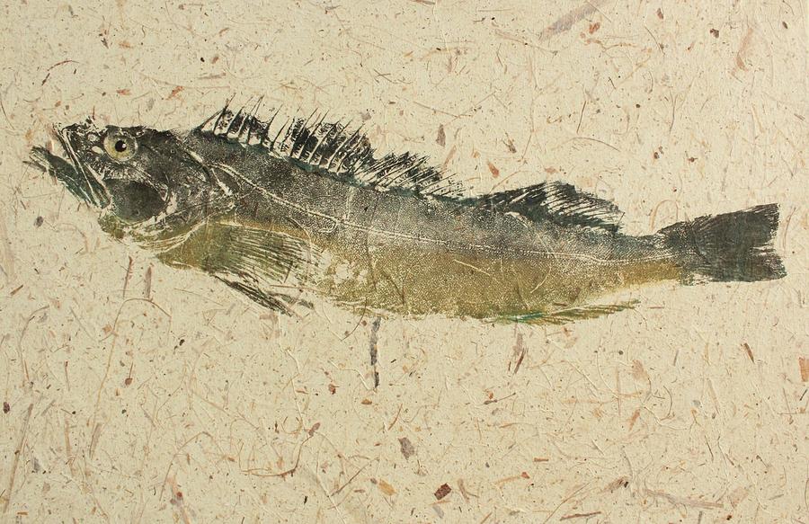 Lingcod Painting by Jill Marks | Fine Art America