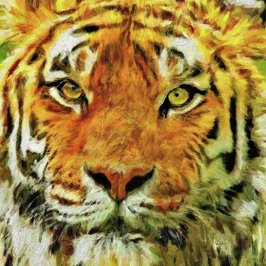 Lion Eyes Digital Art By Russ Harris Pixels