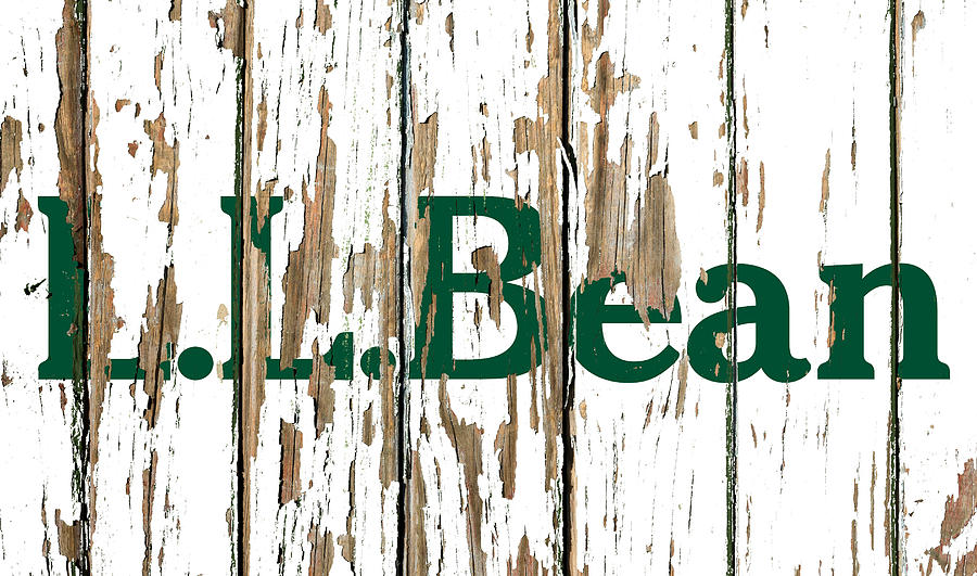 LL Bean Vintage Logo Peeling Paint Barn Wood Mixed Media by Design Turnpike - Fine Art America