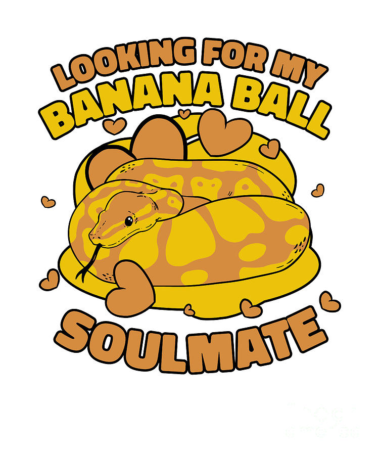 Looking For My Banana Ball Soulmate Banana Ball Python Digital Art by ...
