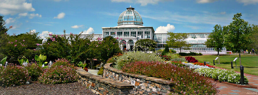 Louis Ginter Conservatory Photograph by Marilyn DeBlock - Pixels