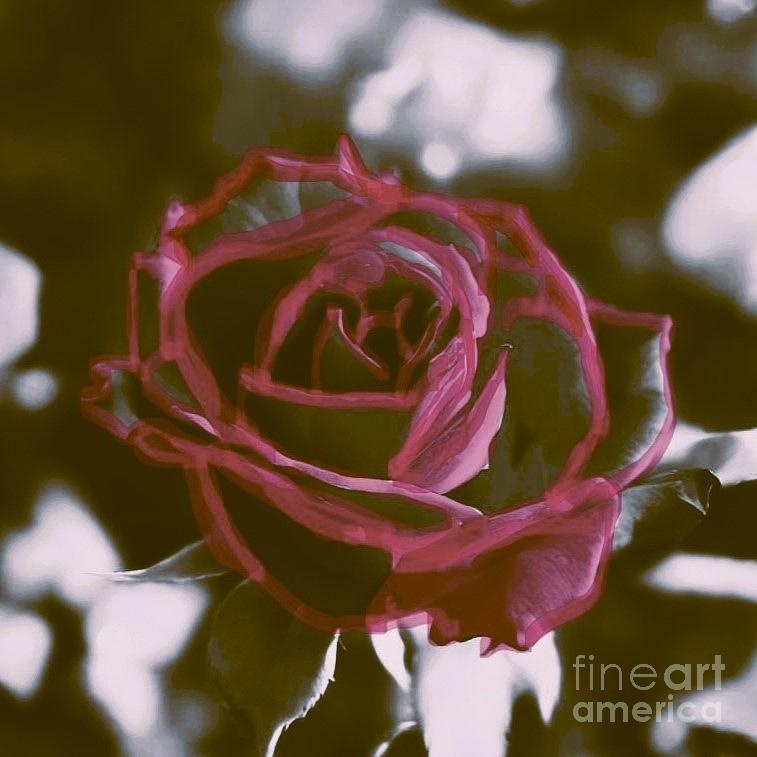 Love Language Photograph By Sandra Irving Fine Art America