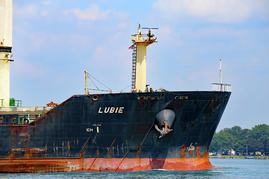 Lubie Detail 3 070621 Photograph by Mary Bedy - Fine Art America