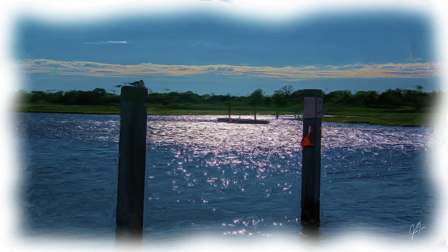 Lucky Bones Photograph by Jim Turri - Fine Art America