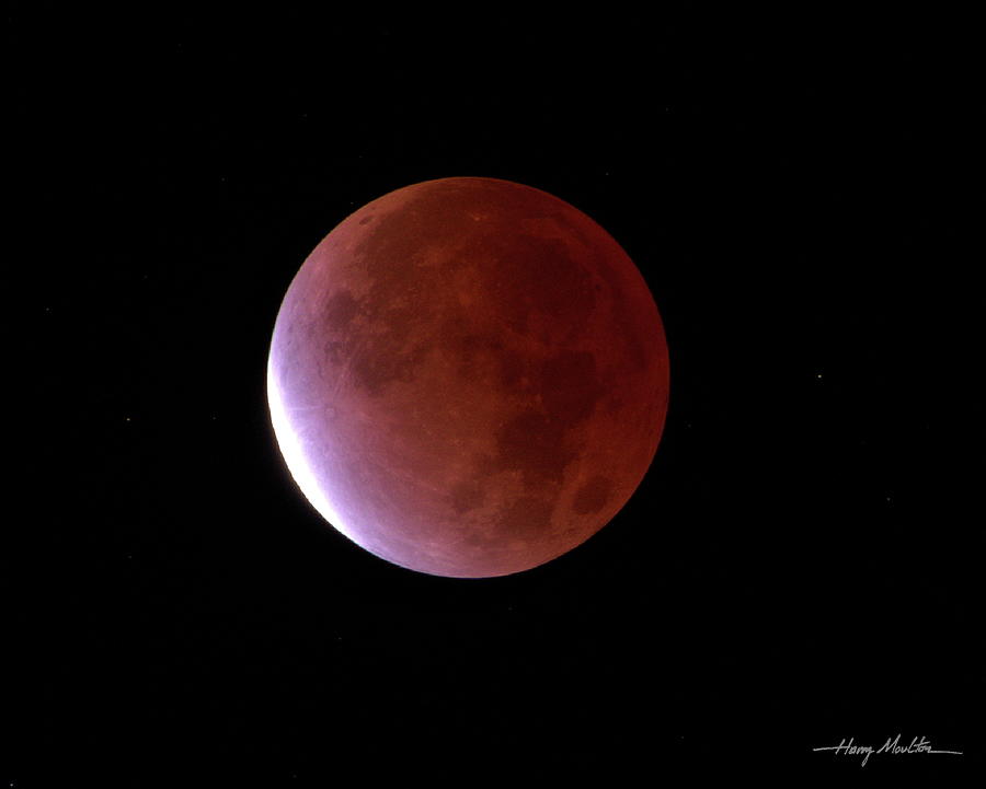 Lunar Eclipse Nov 2021 Photograph by Harry Moulton - Pixels