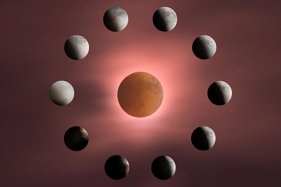 Lunar Eclipse Phases Photograph by John Twynam - Fine Art America