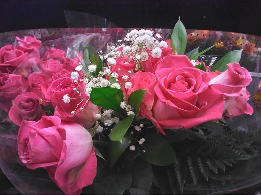 Luxurious PInk Roses Photograph by Charlotte Gray - Fine Art America