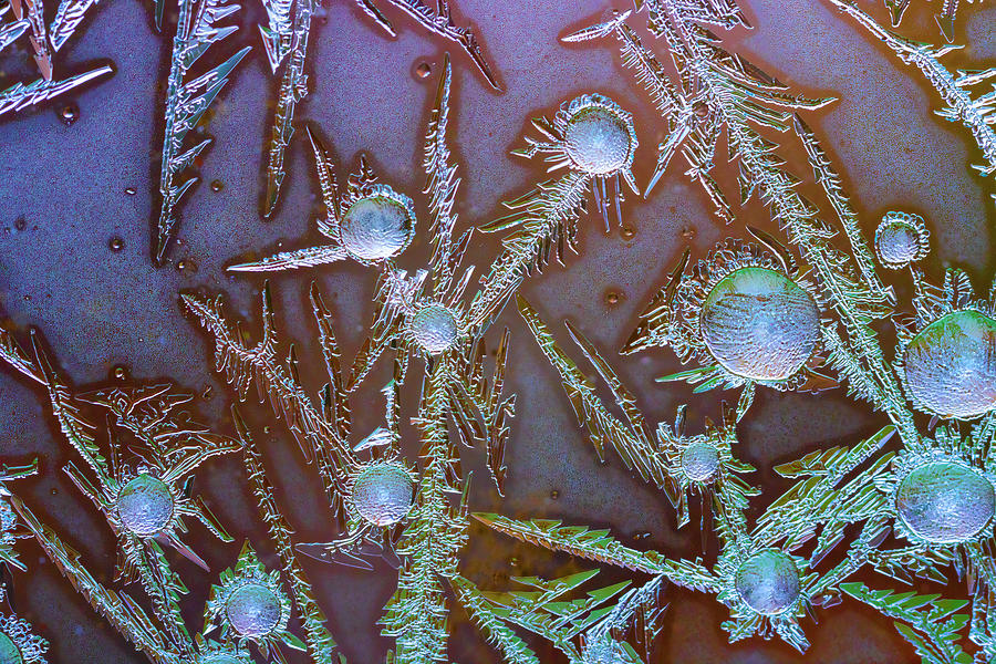 Macro tiny ice crystals melting 4 Photograph by James Brey - Fine Art ...