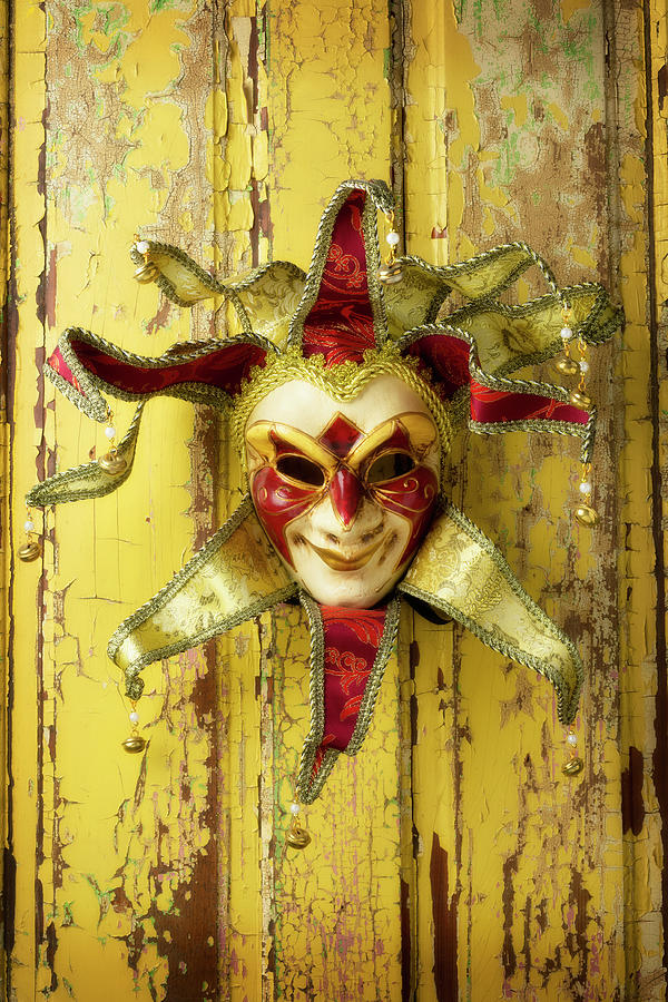 Madi Gras Jester Mask Photograph By Garry Gay Pixels