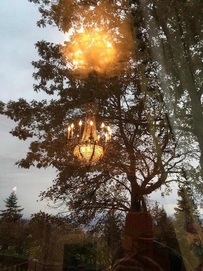 Magic Lanterns Photograph by Cheri Ceridwen - Fine Art America