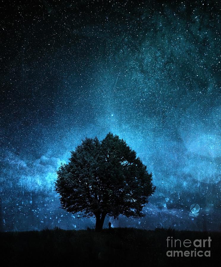 Magic tree Painting by Adam Lauren - Fine Art America