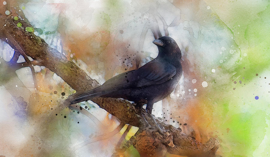 Magical Crow in the Tree Tops Photograph by Lauren Denos - Fine Art America