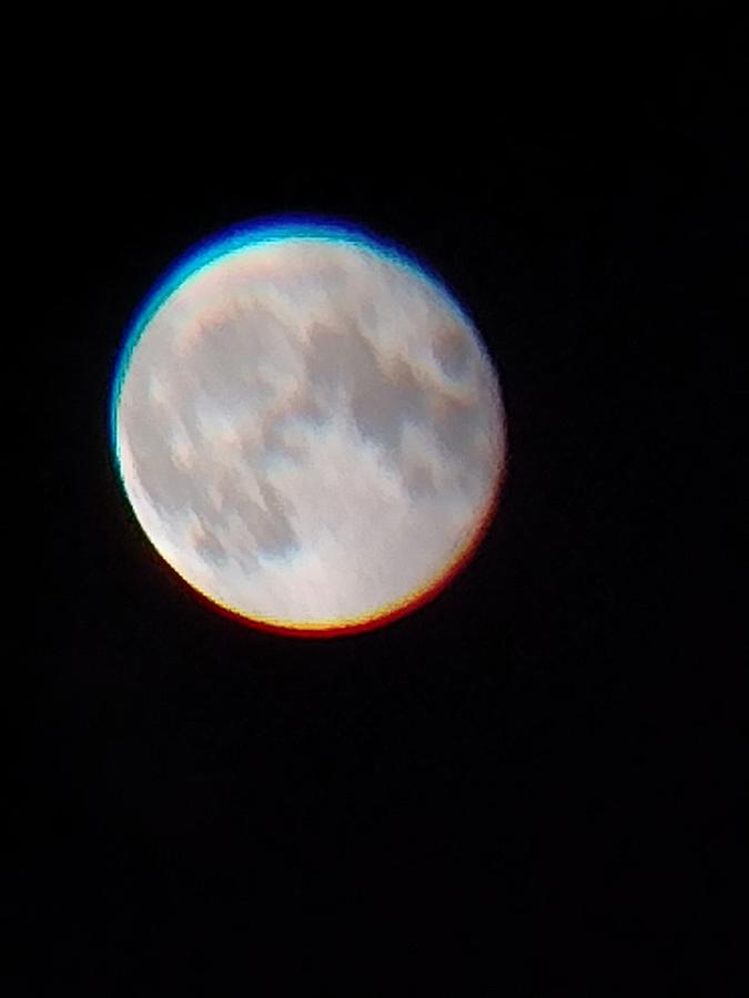 Magnified Photograph by Sue Anna Garlock-Wagner - Pixels