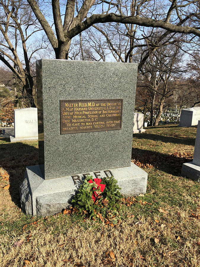 Major Walter Reed Photograph by William E Rogers - Fine Art America