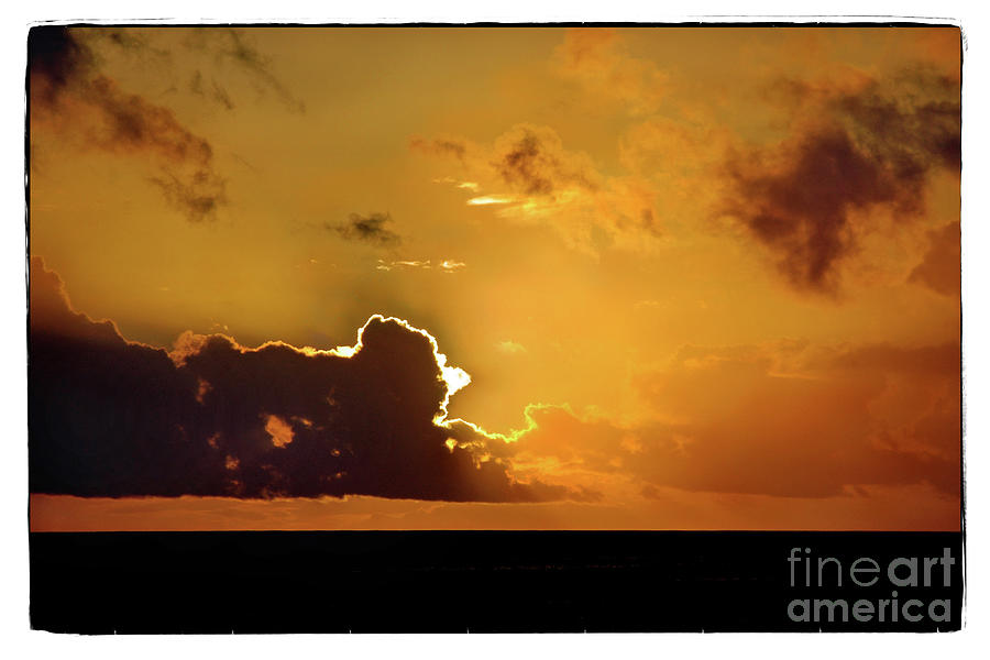 Malibu Gold Photograph By Michael Ziegler Fine Art America