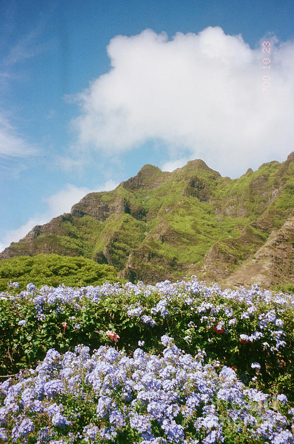 Mana Photograph by Sam Hermann - Fine Art America