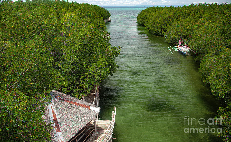 Mangrove Park, Santa Fe Island Photograph by Douglas David Farrow - Pixels