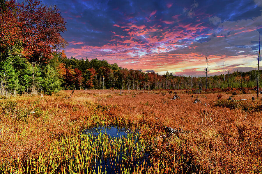 Marsh Sunset Photograph by Jack Bulmer - Fine Art America