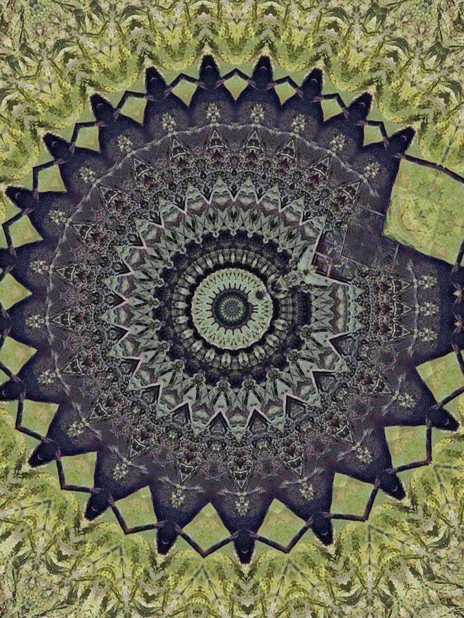 Master Imbalanced Digital Art by Adam Zack - Fine Art America Master Imbalanced Digital Art by Adam Zack - Fine Art America