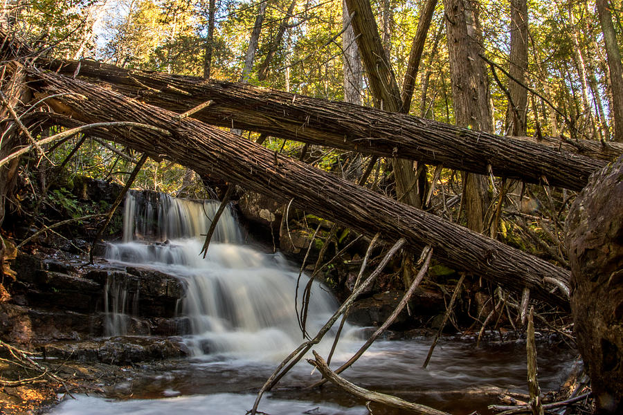 Mazukama Photograph by Tim Beebe - Fine Art America