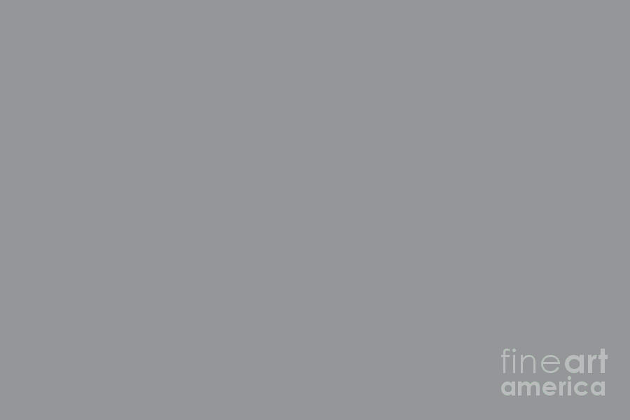 Medium Gray Solid Color Pairs Pantone Ultimate Gray 17-5104 TCX Digital Art by Petite Patterns ...