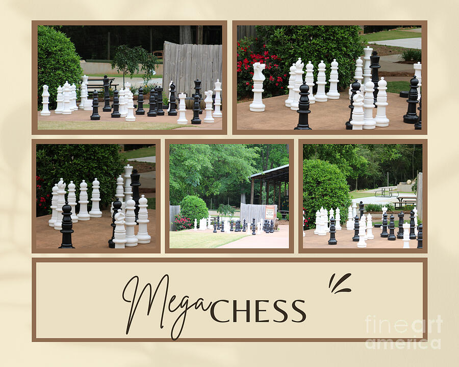 Mega Chess Photograph by Maxine Billings - Fine Art America