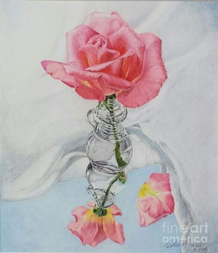 Mere Reflection Drawing by Celia Messer | Fine Art America