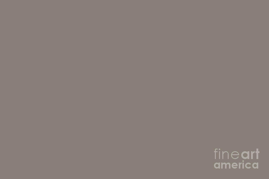 Mid-tone Brown Gray Solid Color Pairs Pantone Cinder 17-1506 Digital ... Mid-tone Brown Gray Solid Color Pairs Pantone Cinder 17-1506 Digital ...