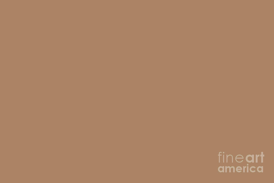 Mid-tone Brown Solid Color Pairs Pantone Tanzine 17-1328 TCX Digital ...