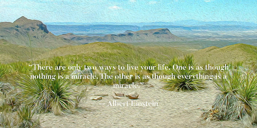 Miracle - Alber Einstein Photograph by Michael Wright - Fine Art America