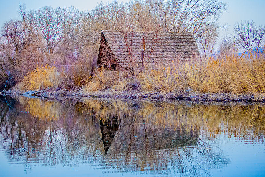 Mirrored Photograph by Aliesha Shepherd | Pixels