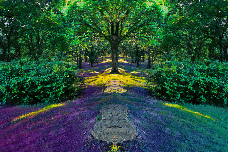 Mirrored Beauty Photograph by Daniel Huizar - Fine Art America