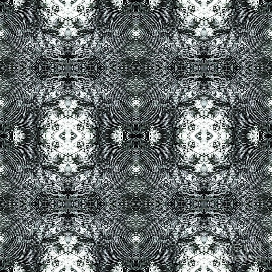 Mirrored Etching 6 Digital Art by SUDA Studios Tech - Fine Art America