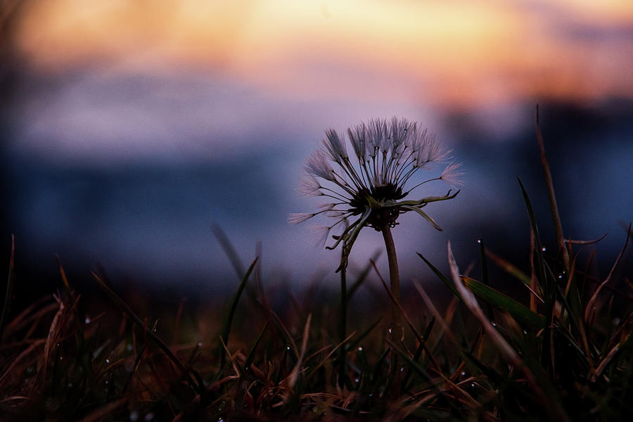 Missing Time Photograph by Jeromy Gorman - Fine Art America
