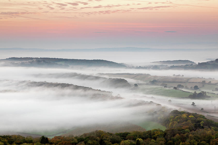Misty tramlines Photograph by Bruce Little - Fine Art America