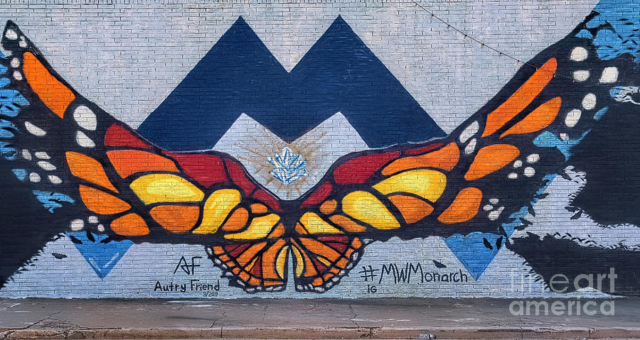 Monarch Butterfly - Mural Photograph by Diana Mary Sharpton - Fine Art ...
