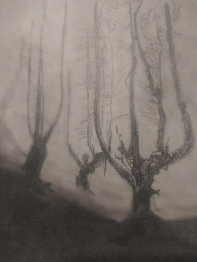 Moon Shadow Drawing by Rhonda Everett | Pixels