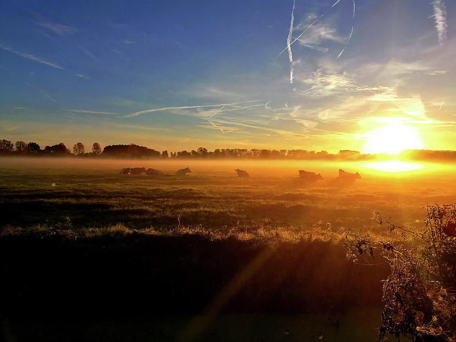 Morning already Photograph by Eirini GN - Fine Art America